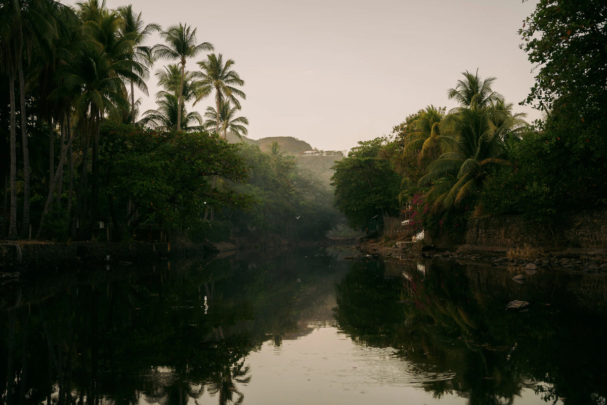 Unleashing Creative Potential - Why Sigma Prime Lenses are Essential f ...